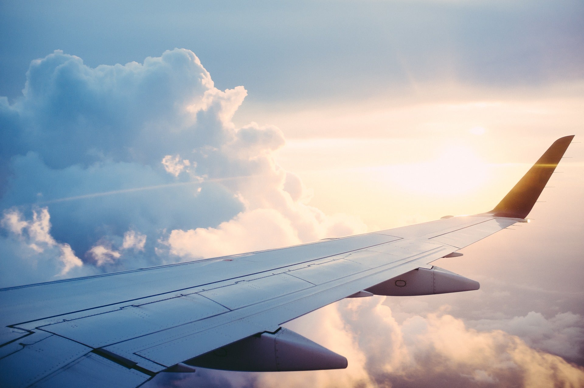 Transporting Cremation Ashes. Here is What You Should Know. 2023 Guide ...